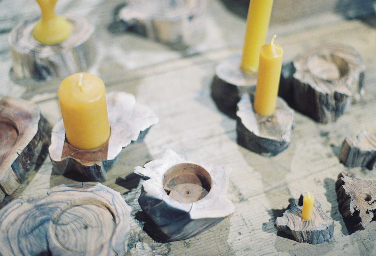 Wood – POETRY READING